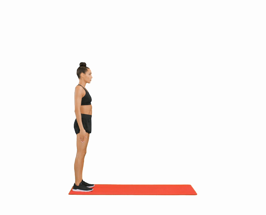 Caterpillar Walk & Burpee - Sweat