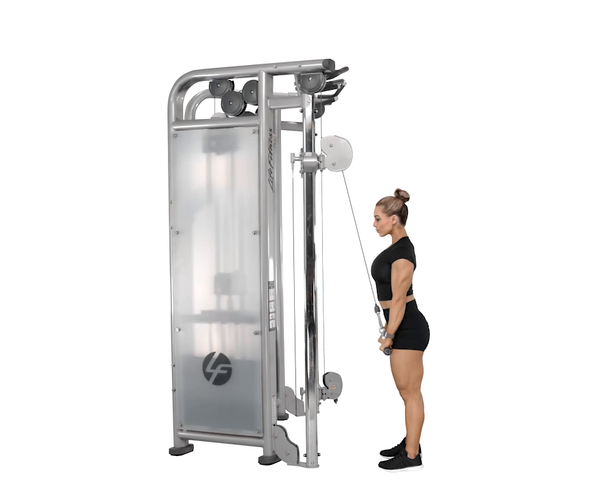 Tricep Pushdown Exercise Video & Guide - Sweat