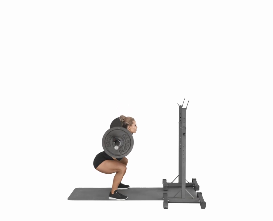Low-Bar Squat - Sweat