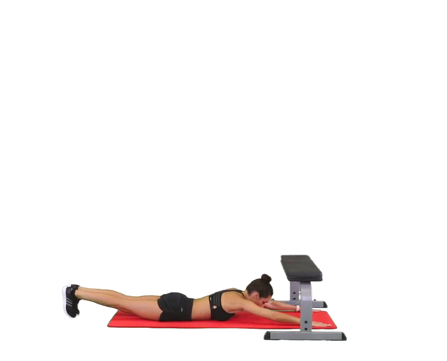 Lay-Down Bench Jump - Sweat
