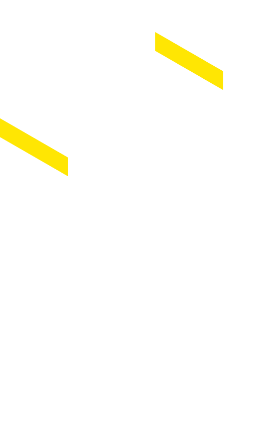 Web Application Development Company | Yellow
