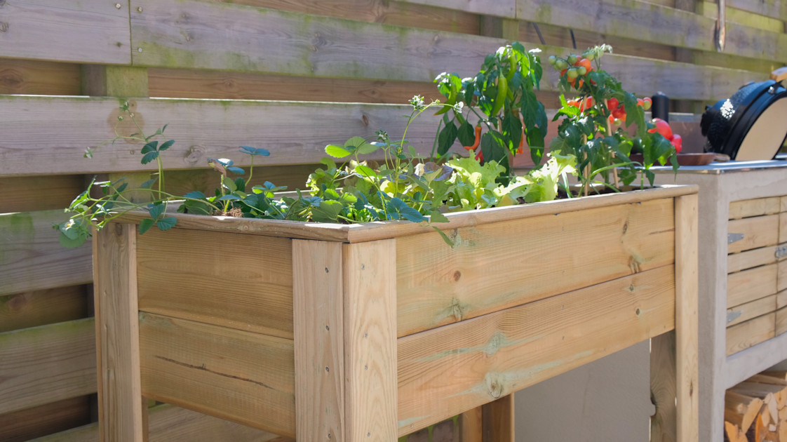 Zelf een (verhoogde) moestuinbak maken | Praxis