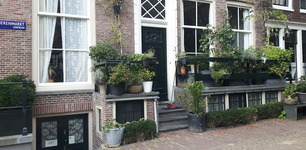 Ontdek hier hoe je de mooiste geveltuin aanlegt | Praxis