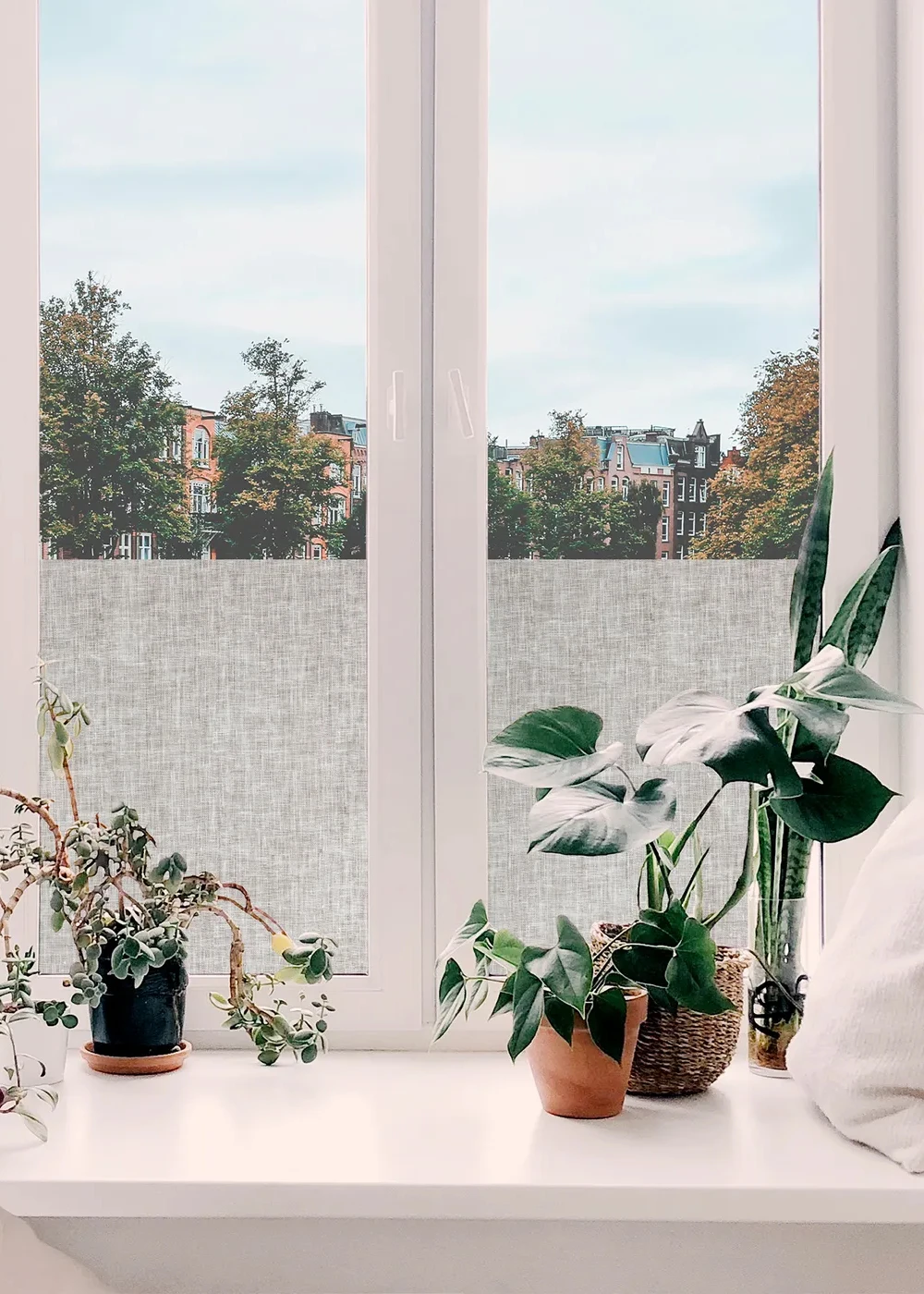 Raamfolie: hoe het je huis knus, mooi én duurzaam maakt | Praxis