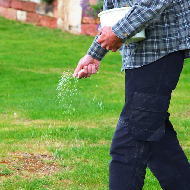 Gras zaaien: in 5 stappen een stralend gazon | Praxis