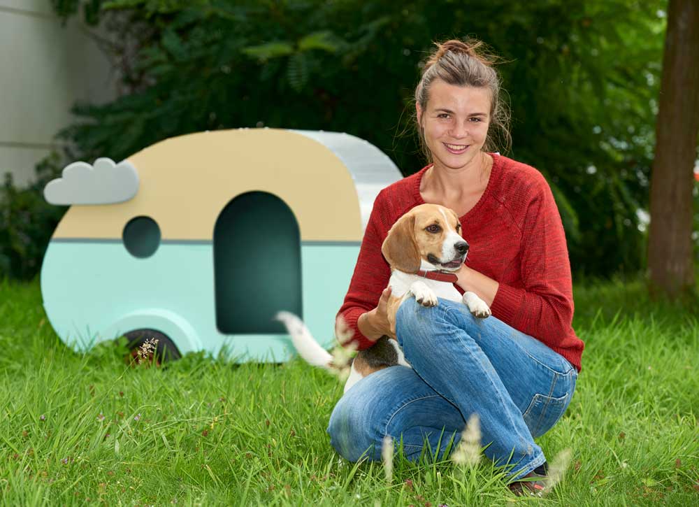 Comment fabriquer une Niche pour Chien? | Pas à pas | Brico.be