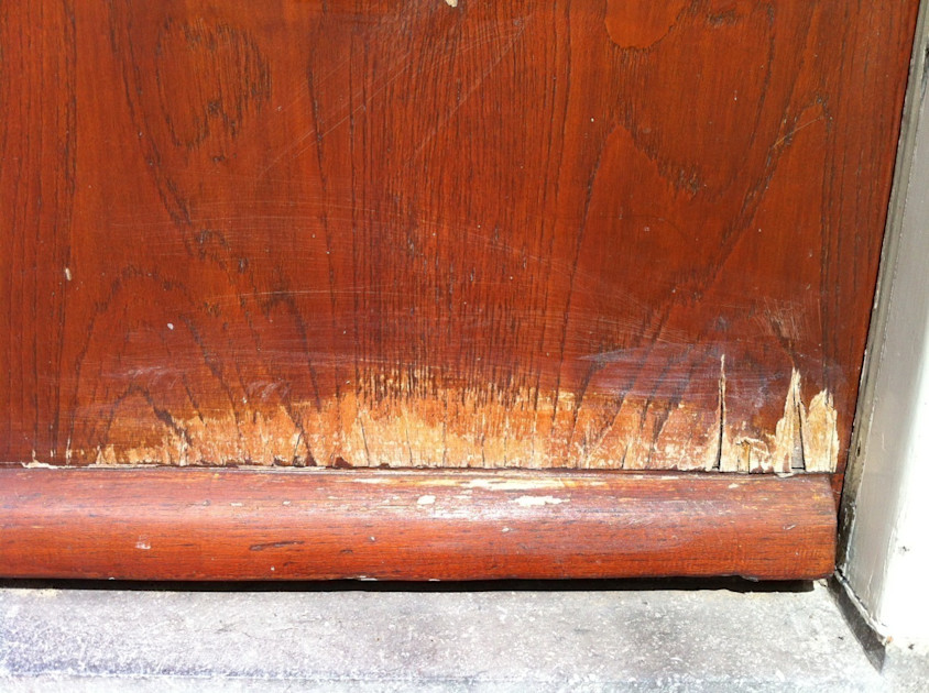 Voordeur vernissen | Stap voor stap uitgelegd | Brico.be