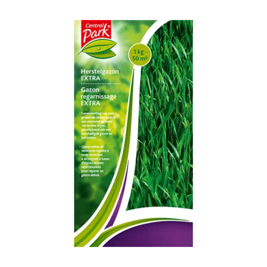 Grasmaaier kopen? Lees onze tips | Productadvies | brico.be