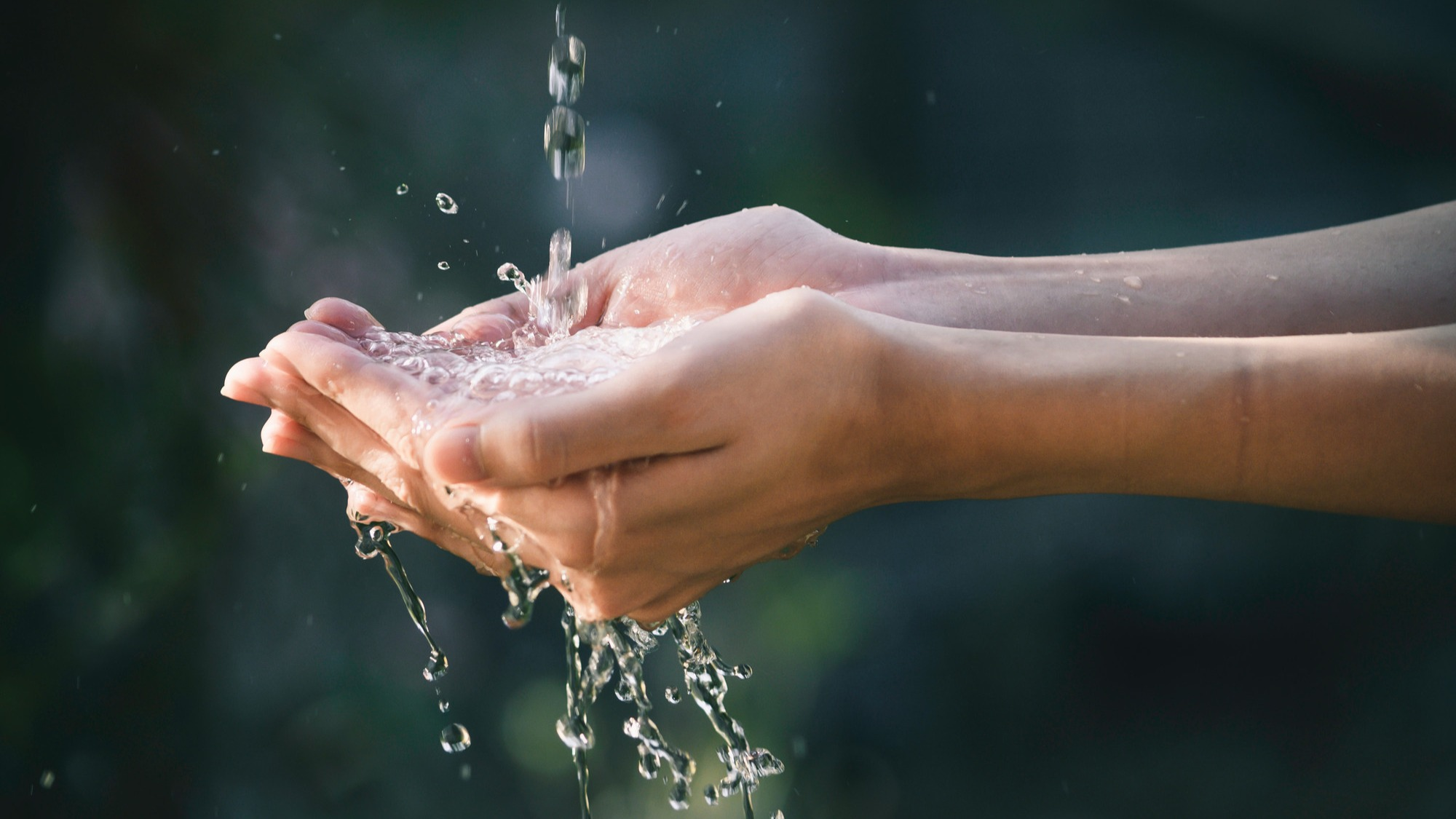 Water besparen | Praktische tips en ideeën | brico.be