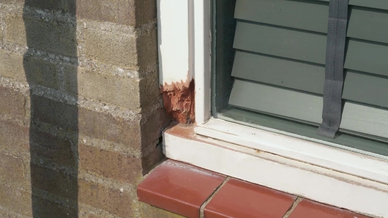 Zelf houtrot repareren | Stappenplan Praxis