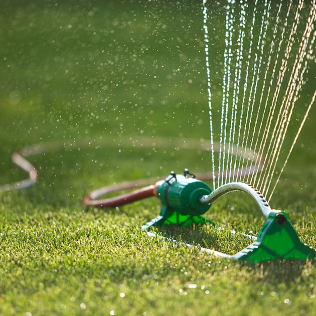 Gras sproeien: wanneer, hoe vaak en hoe lang | Praxis