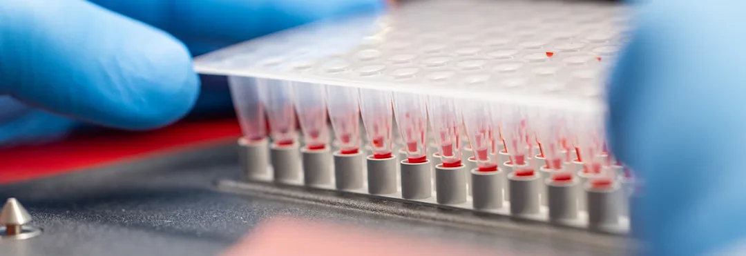 PCR plates for laboratory work | SARSTEDT