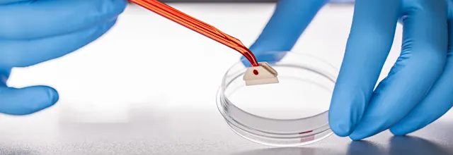 Cell scraper for the laboratory | SARSTEDT