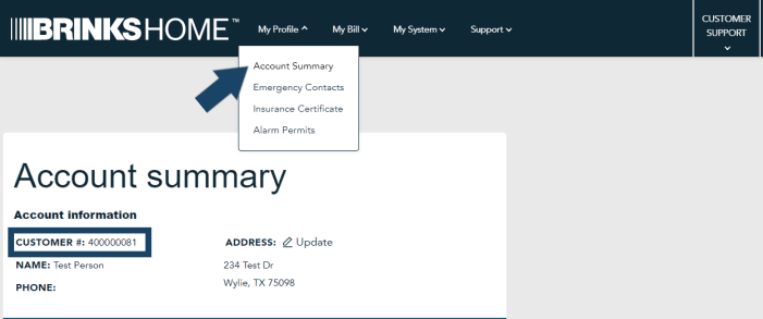 How Can I View My Account Information?
