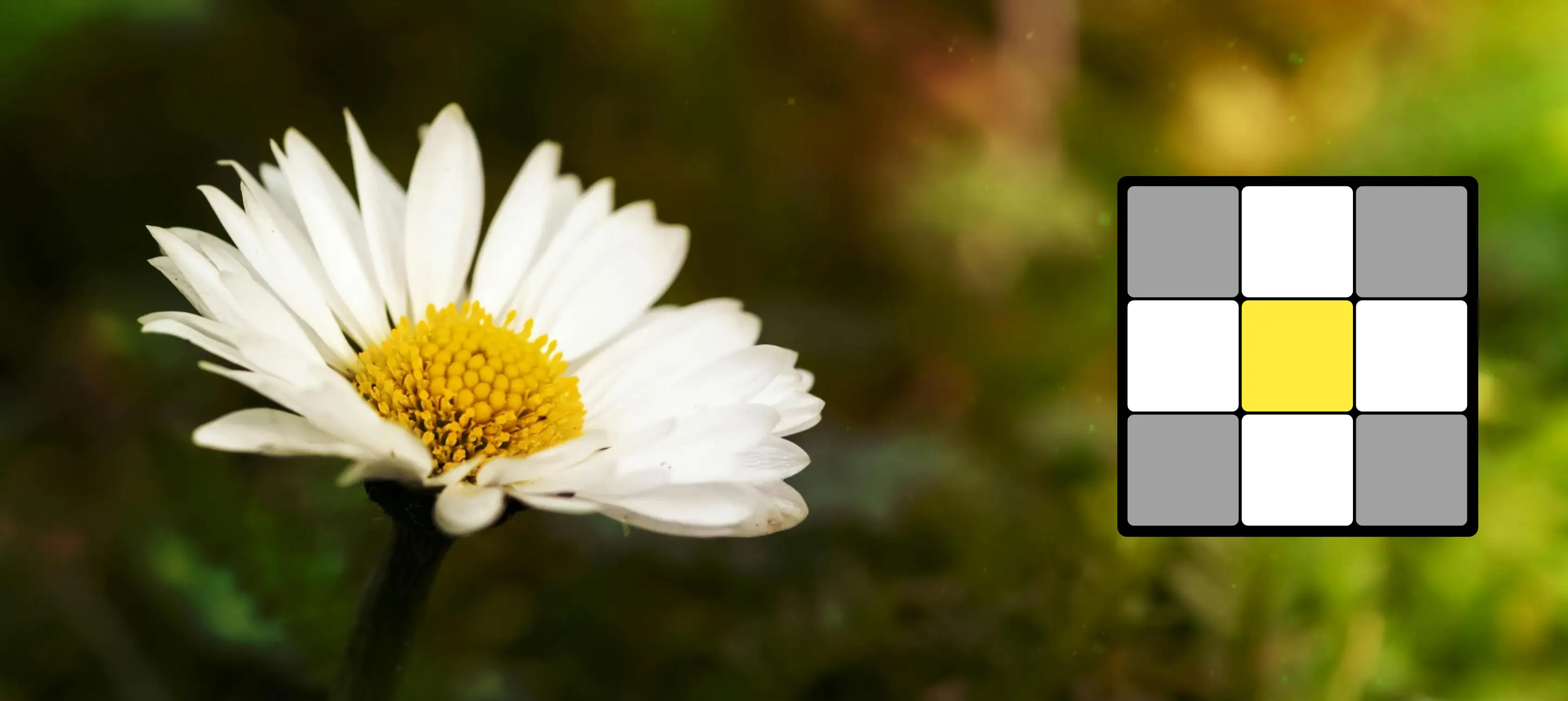 Rubik's Cube Daisy Method: Step-by-Step Guide for Beginners