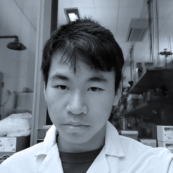 Rise | David Zhang He