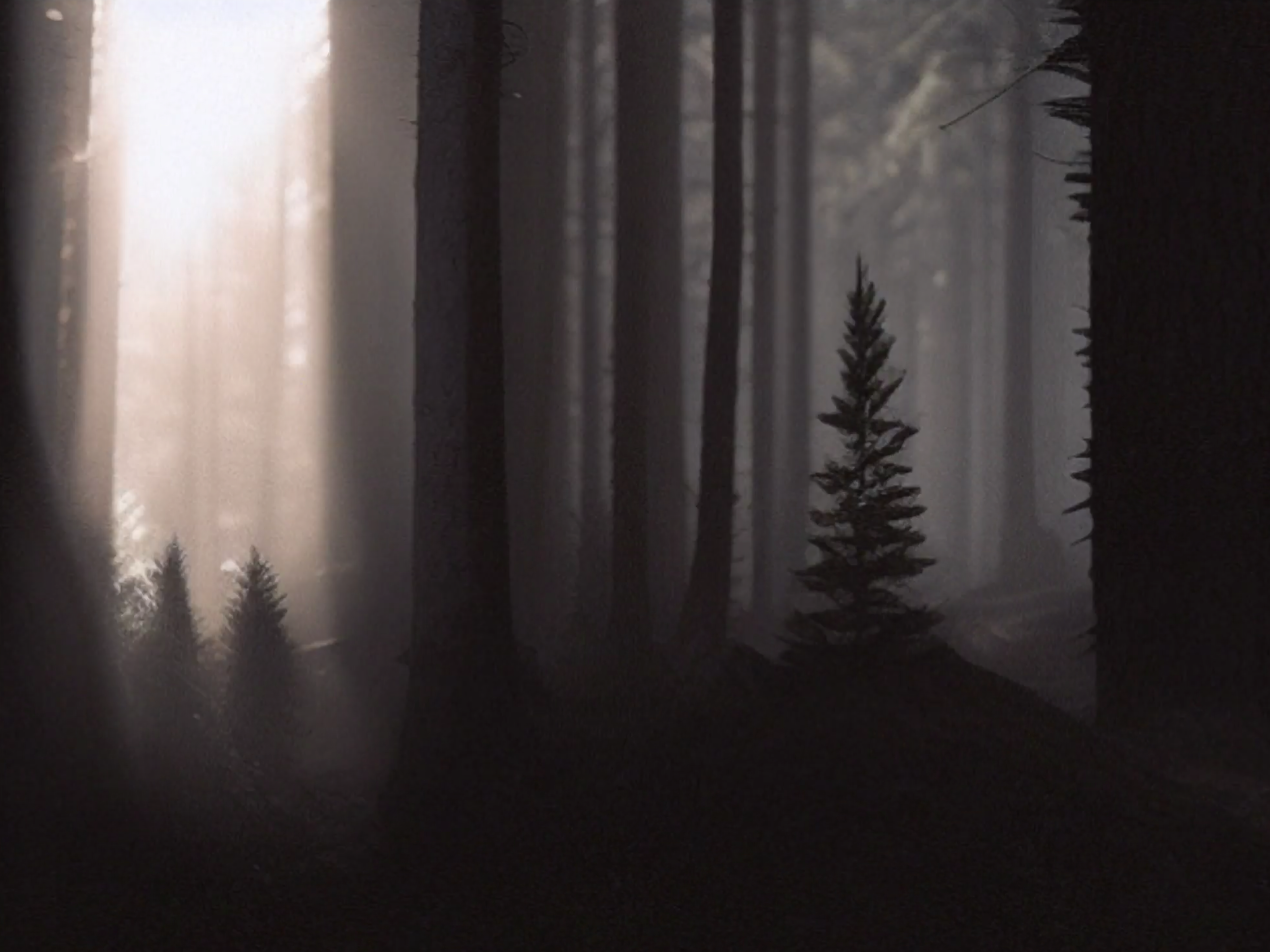 elekktronaut - Stable Diffusion x TouchDesigner [Jan - Feb]