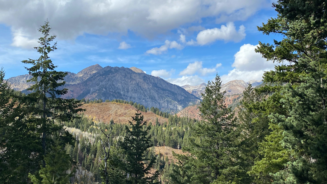 Alpine Loop Scenic Drive | Utah.com