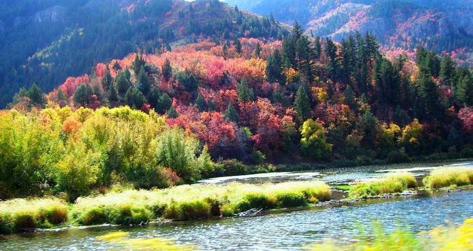 Logan Canyon Scenic Drive | Utah.com