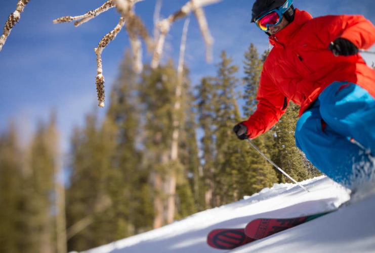 Beaver | Photo Gallery | 0 - Beaver - Skiing