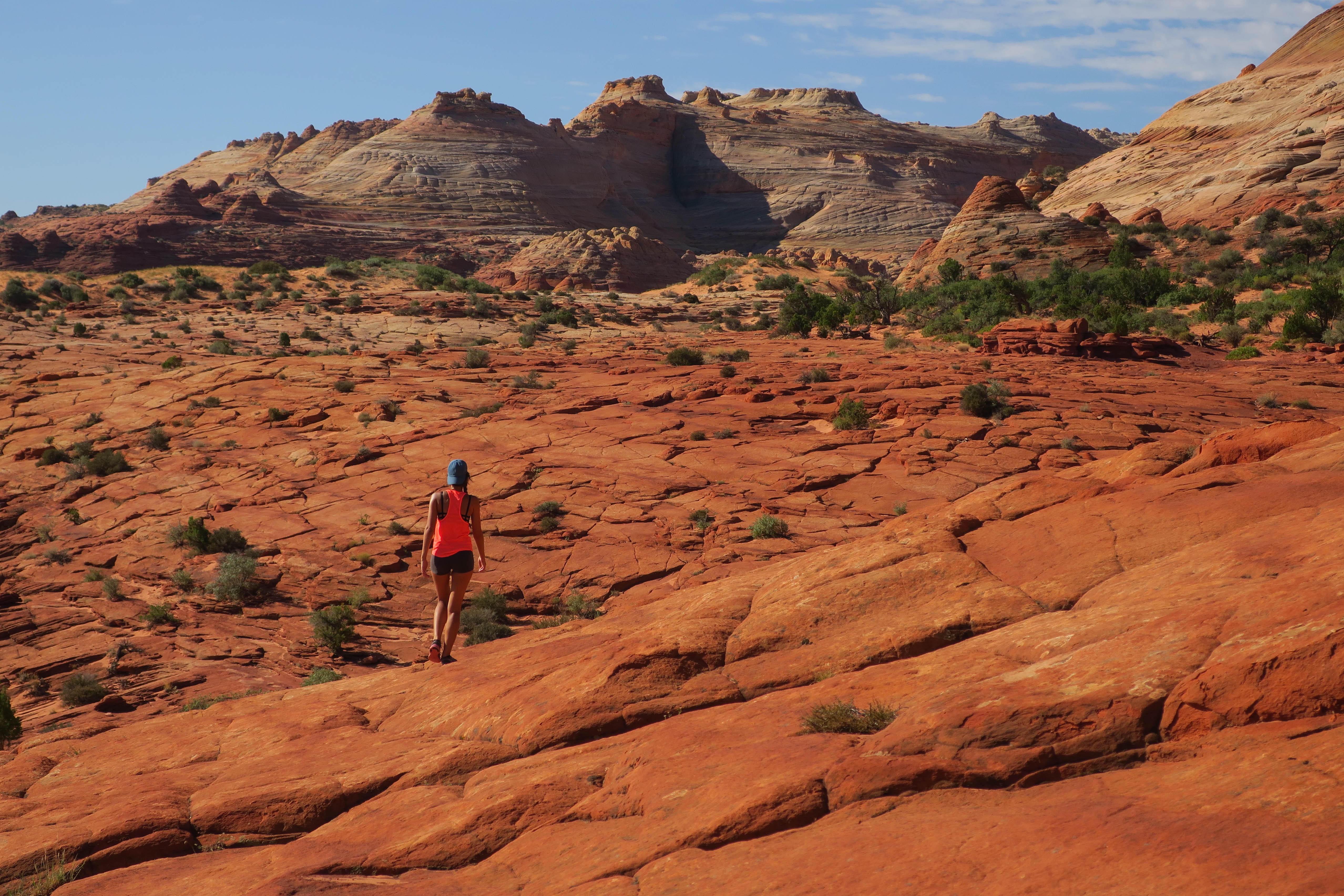 The Wave-Coyote Buttes | Utah.com