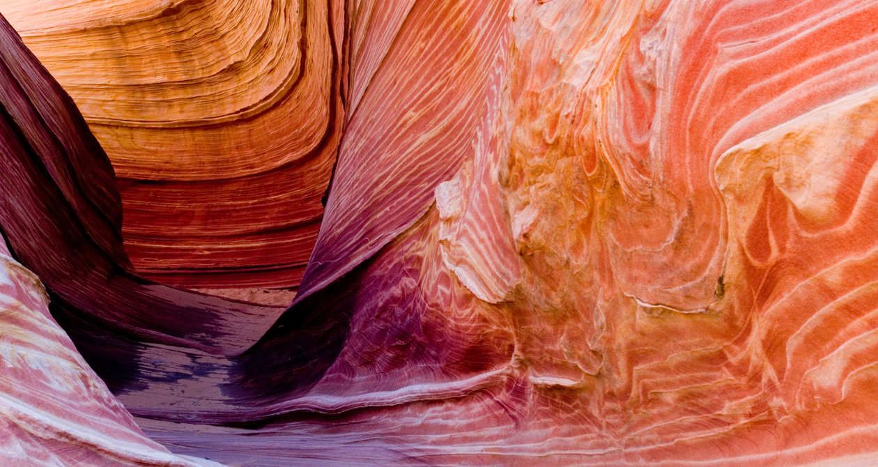 The Wave | Photo Gallery | 2 - Close up of The Wave