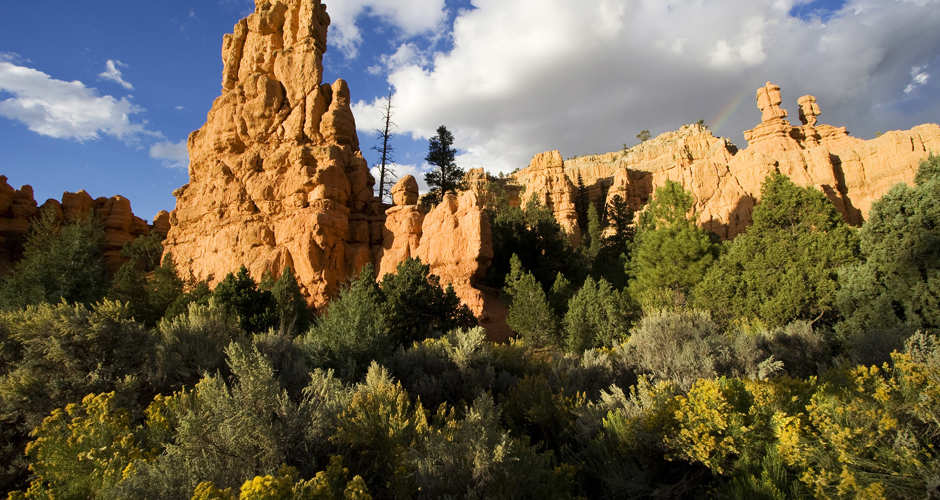 Cedar City - Visitor Information, Things to Do, and Travel Guide | Utah.com