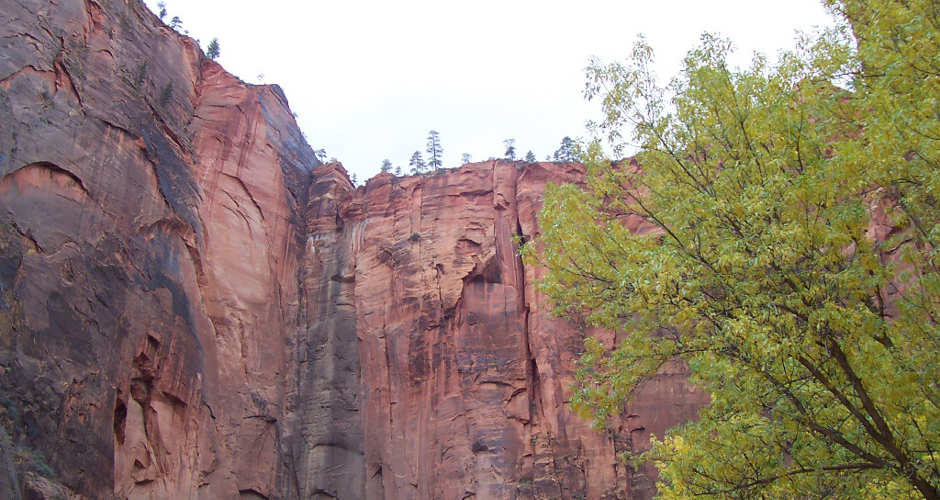 Red Rock Shuttle Service