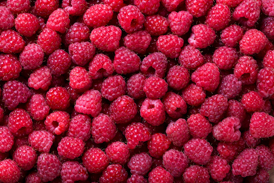 Bear Lake Raspberry Days Festival | Utah.com