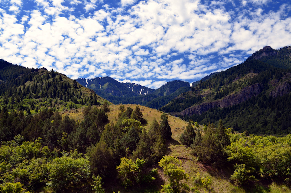 Logan Canyon Scenic Drive | Utah.com