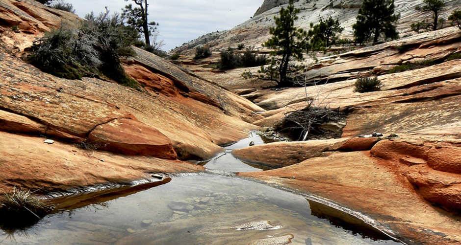 Hike the Many Pools trails in Zion National Park | Utah.com