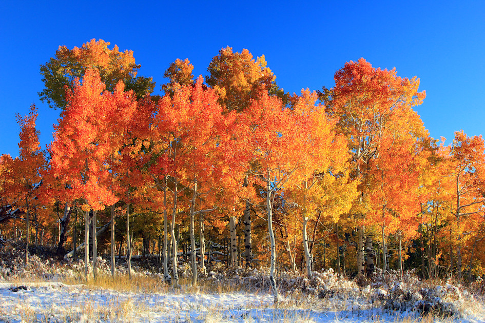 Fall Staycation Itineraries in Salt Lake City or Park City | Utah.com