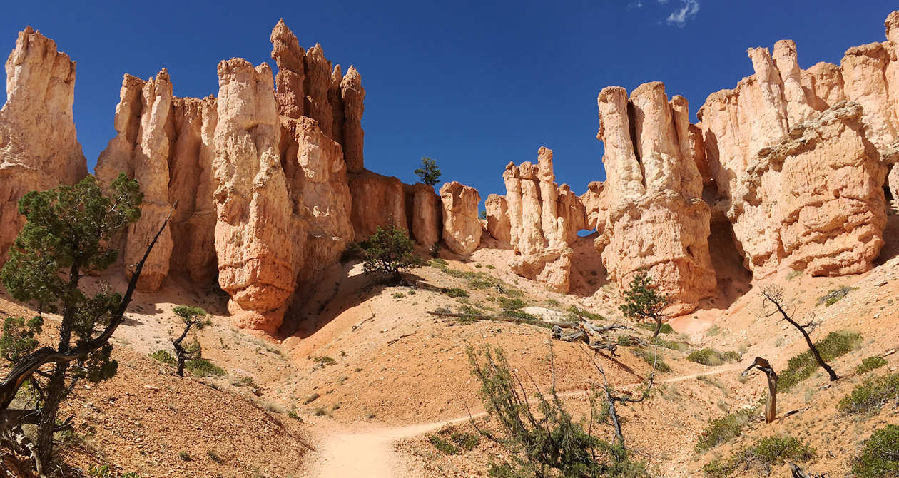 Fairyland Loop Trail - Bryce Canyon National Park | Utah.com