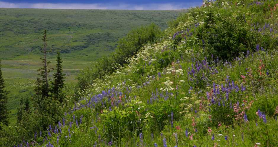 Sanpete Valley OHV and Snowmobiling | Utah.com