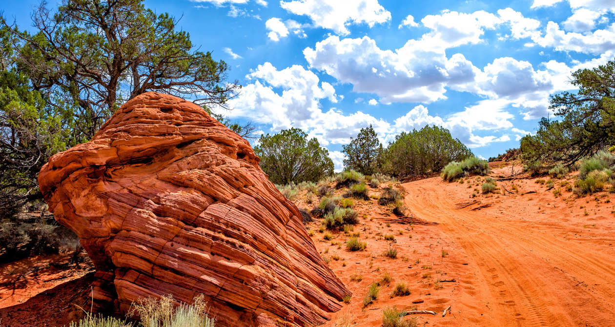 The Wave-Coyote Buttes | Utah.com