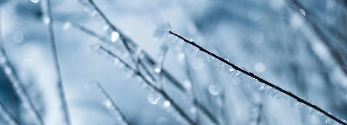 Logan Canyon Snowmobile Complex | Utah.com