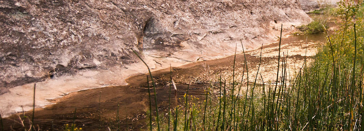 Burro Wash