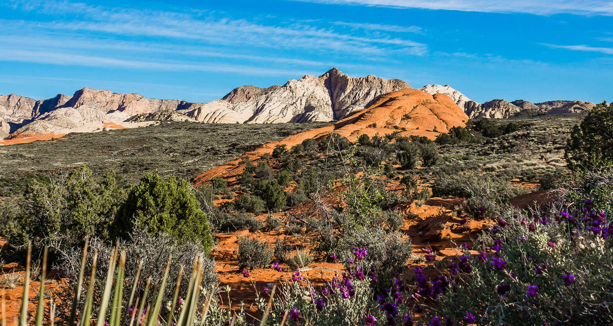 St. George Utah | Utah.com
