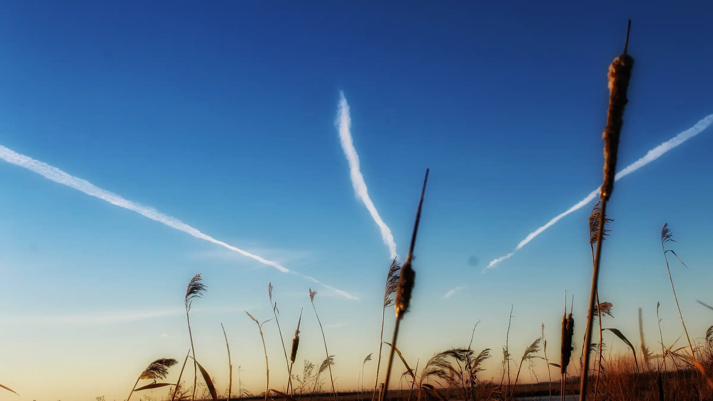 opsci • "Climate dictatorship", "Climate pass", "Great Reset ...