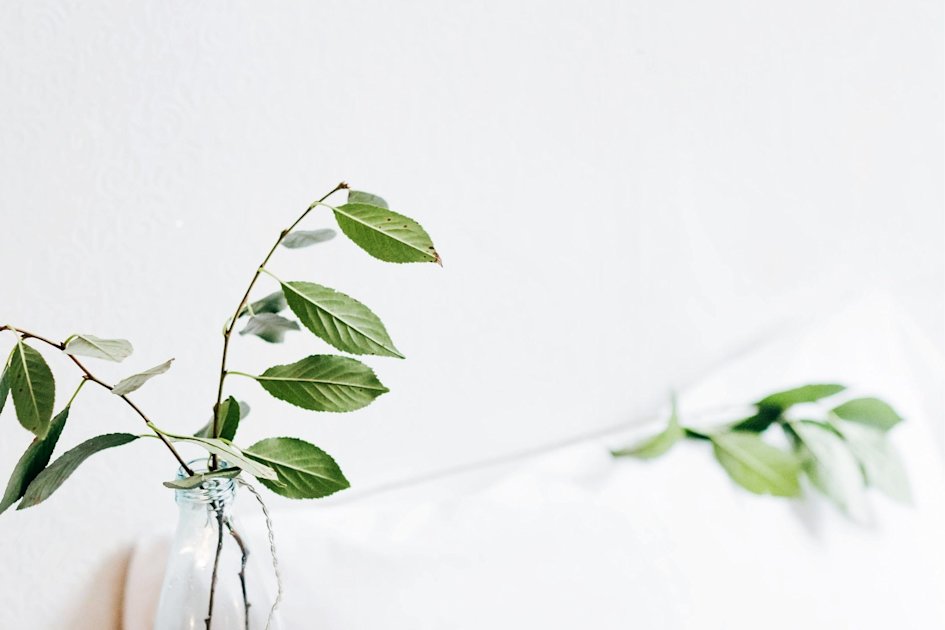 How Does Health Insurance Work? [Complete Guide] - Bennie