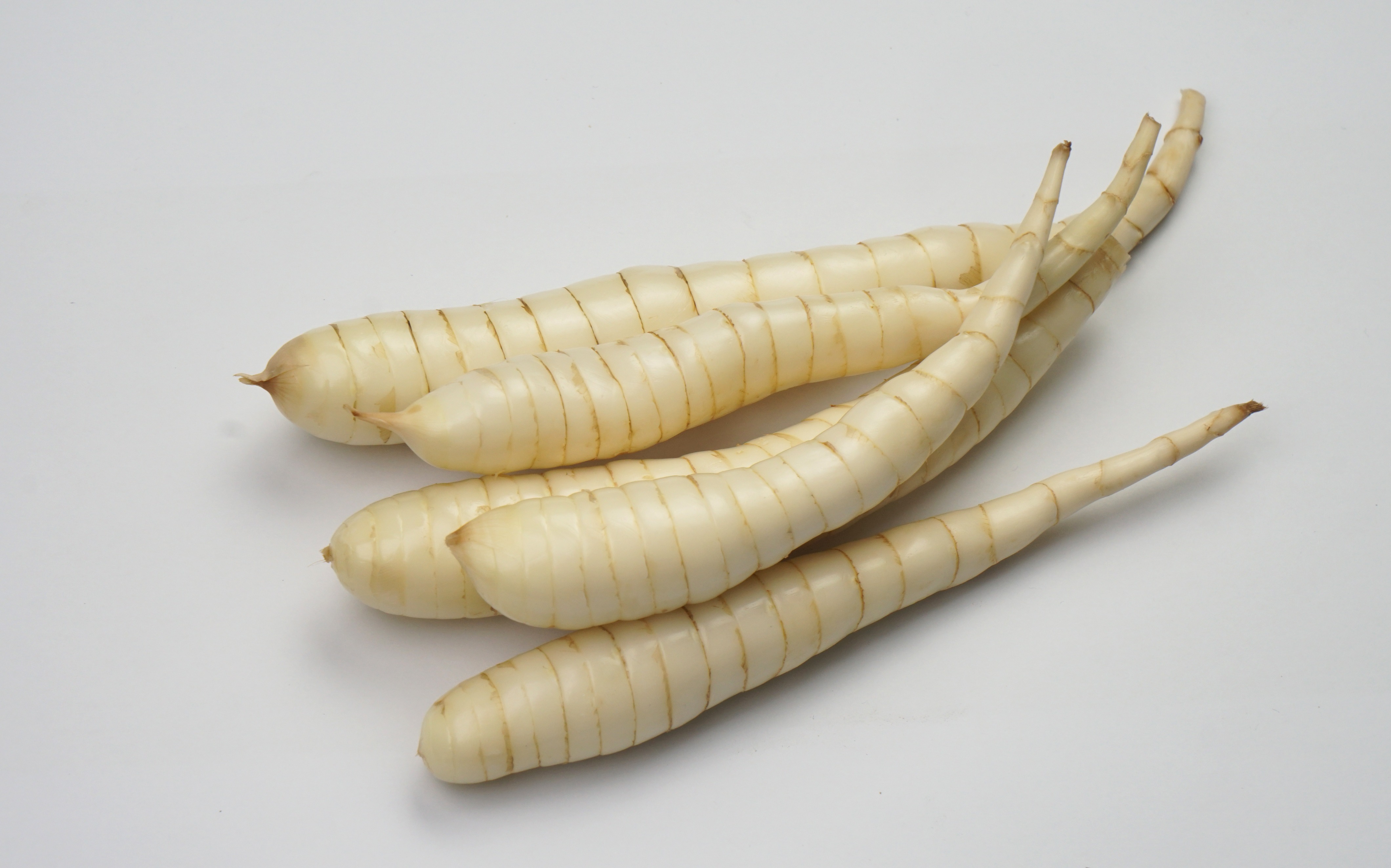 Arrow-root : quels sont ses bienfaits ? - Aroma-Zone