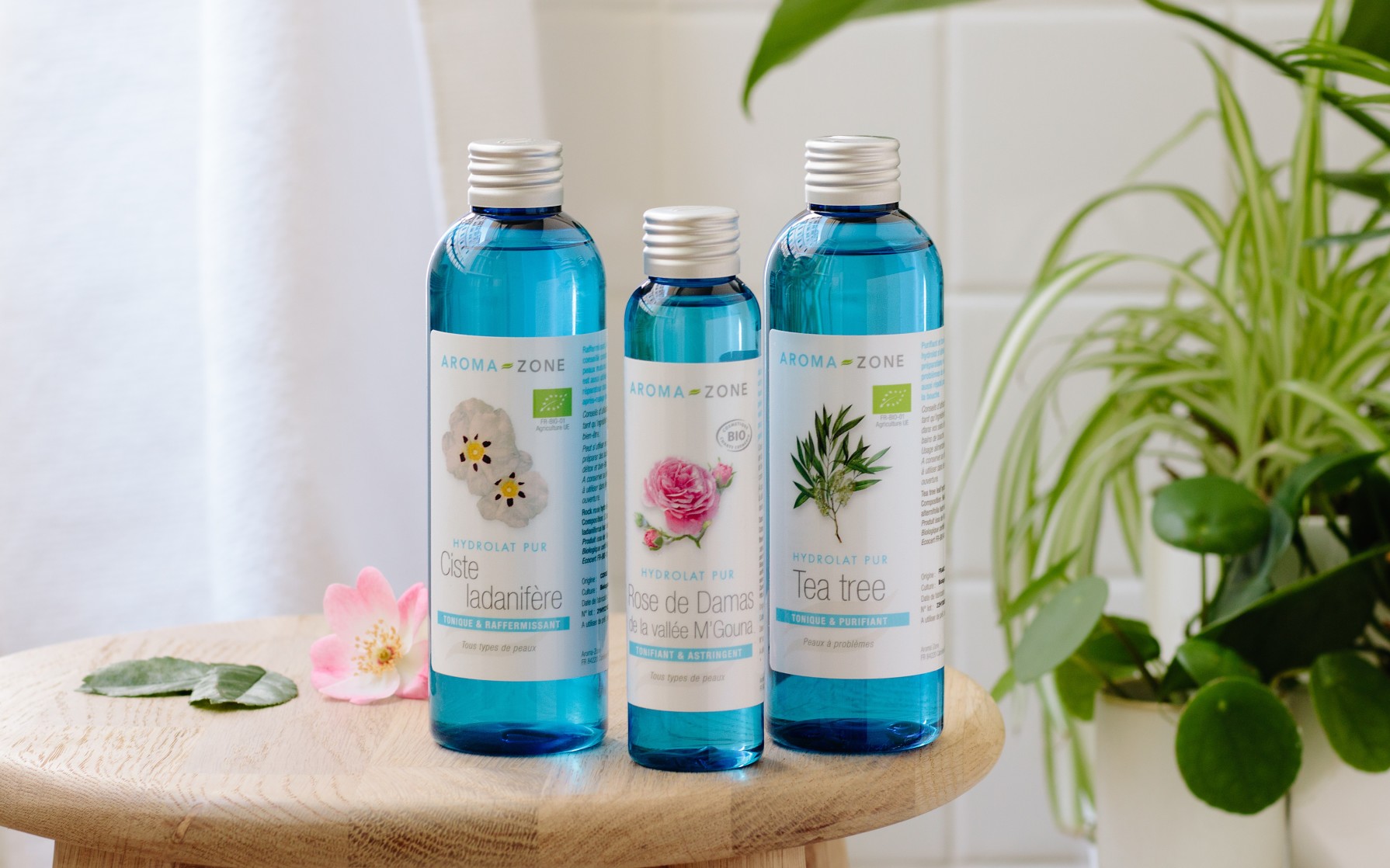 Hydrolats ou eaux florales : quelle est la différence