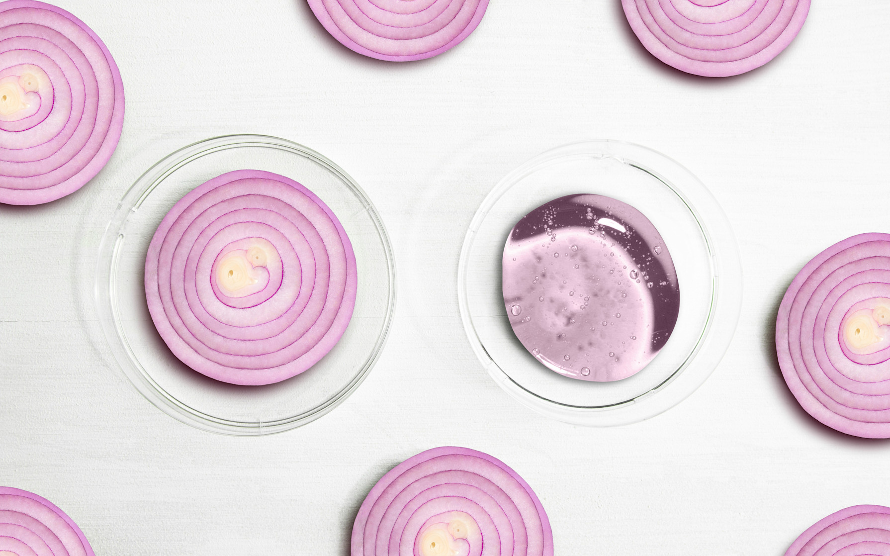 Oignon (Allium cepa) : définitions, propriétés et bienfaits - Aroma-Zone