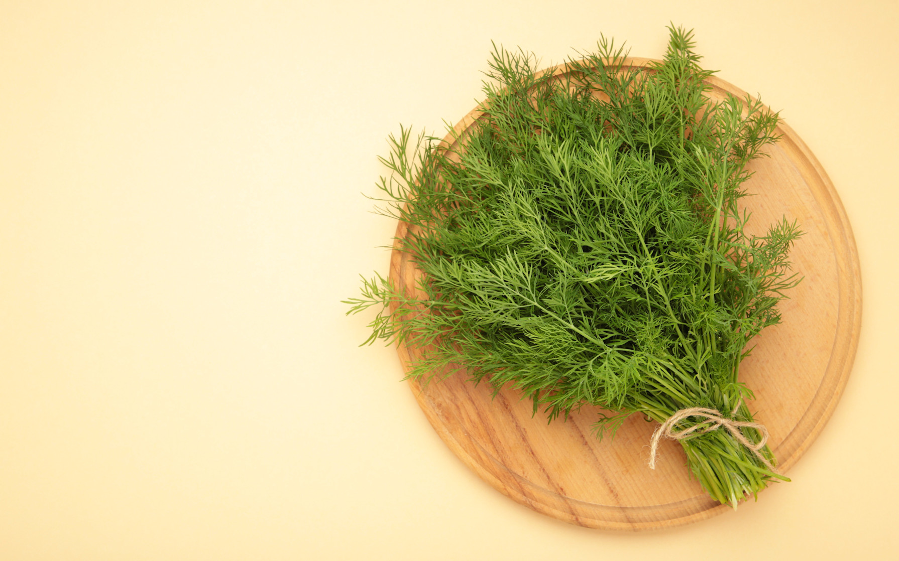 Fenouil sauvage (Foeniculum vulgare) - Aroma-Zone