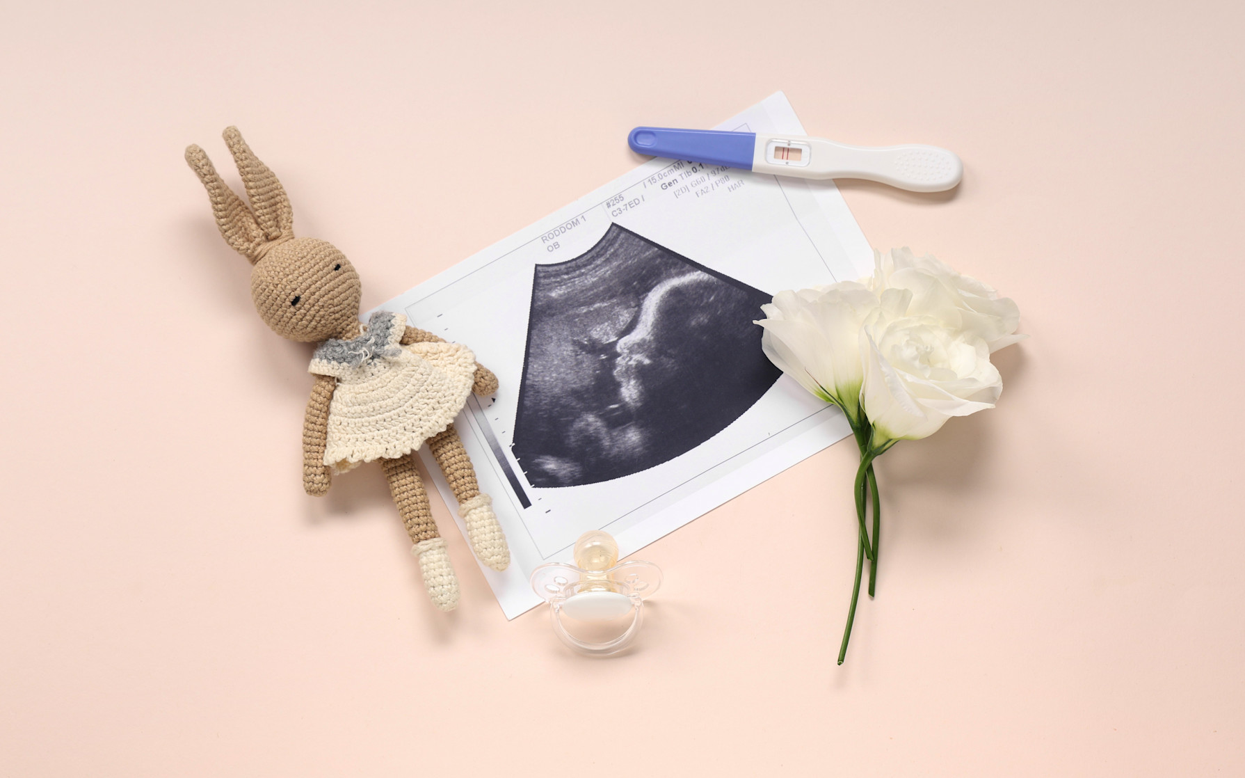 Comprendre la fertilité - Aroma Zone