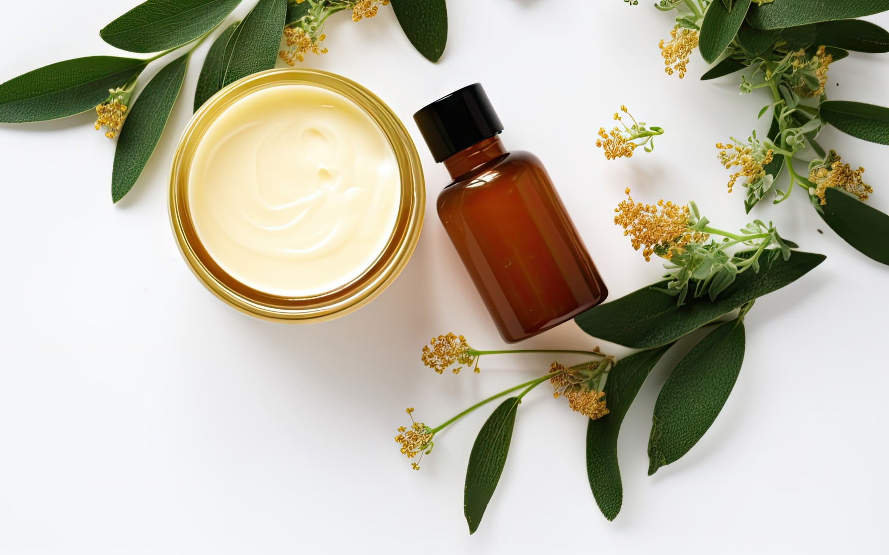 Myrte (Myrtus communis) : définition, propriétés, bienfaits - Aroma-Zone