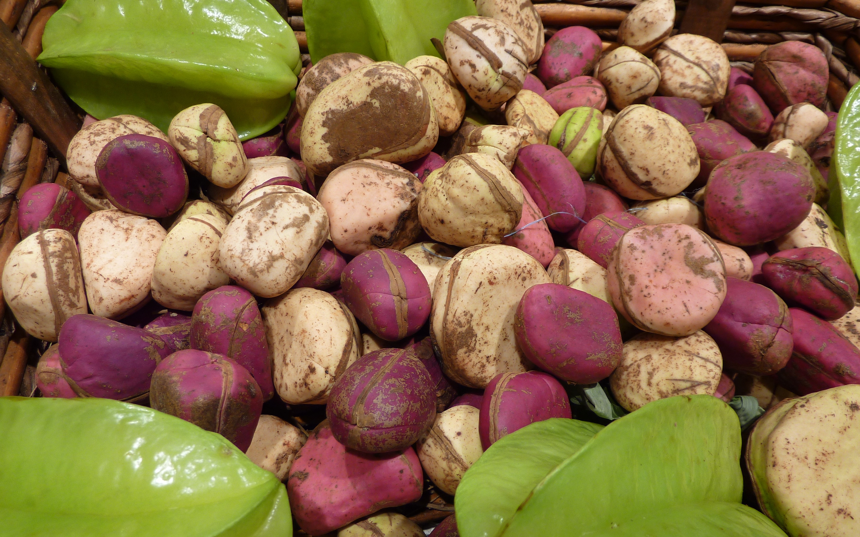 La noix de Cola : quels sont les bienfaits ? - Aroma-Zone