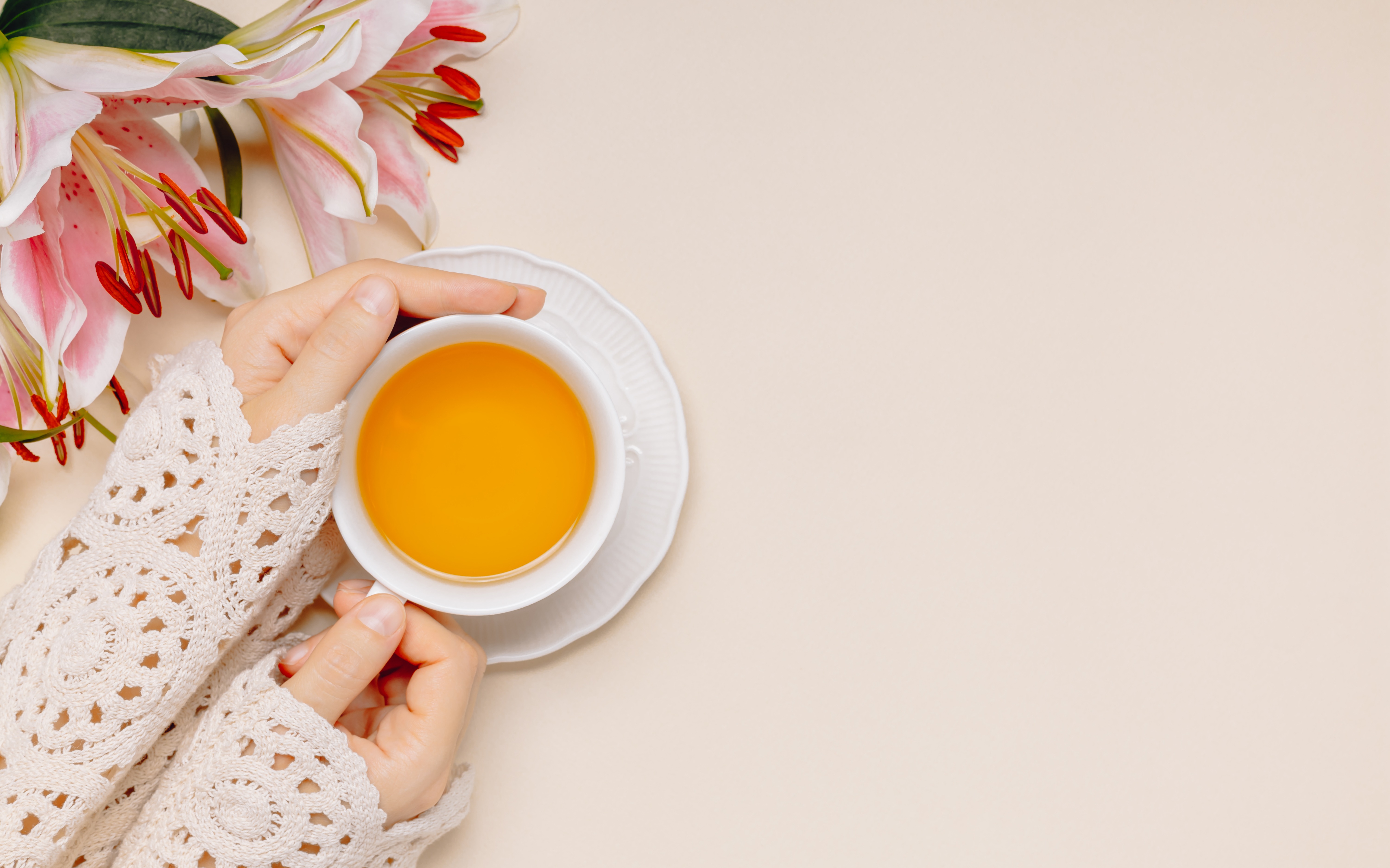 Thé et absorption du fer : tout savoir - Aroma-Zone