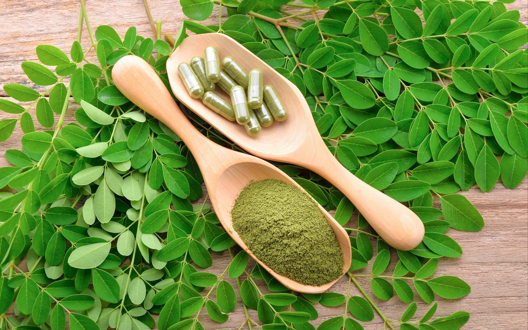 Les dangers et contre indications du Moringa - Aroma-Zone