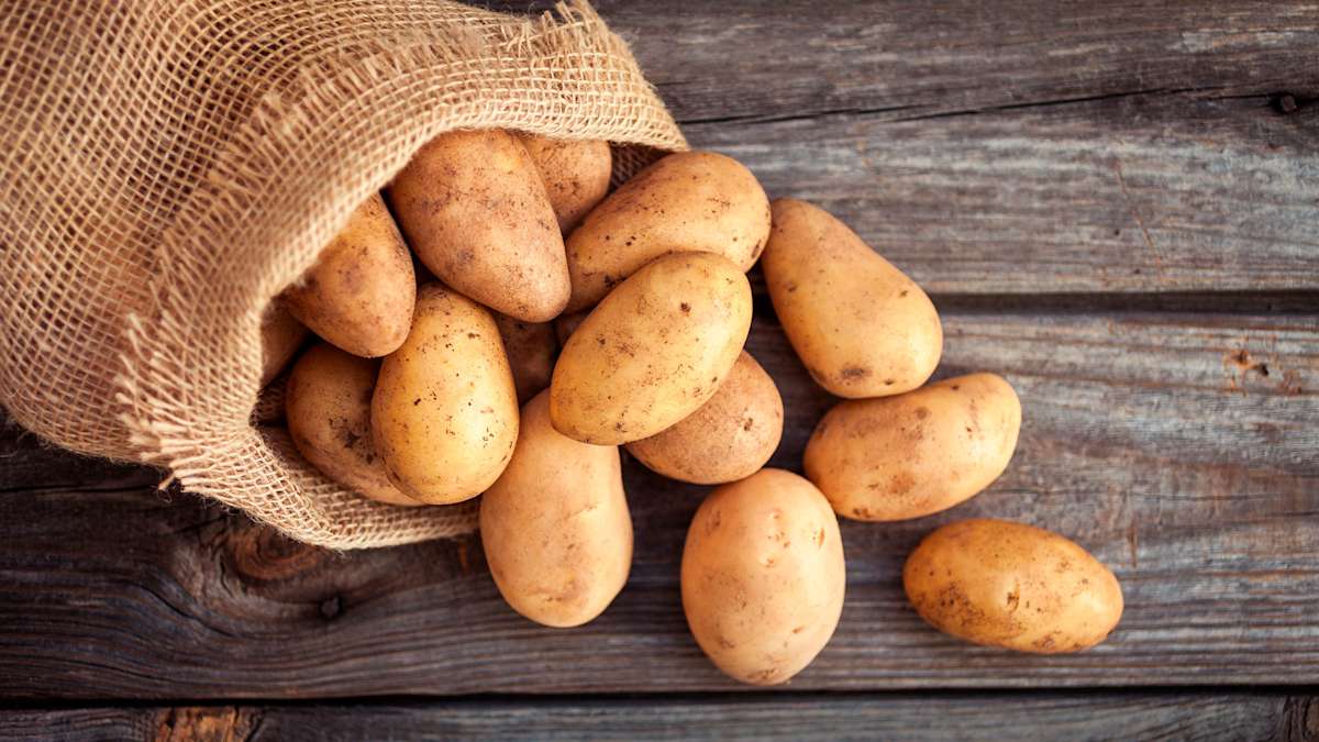 Peruna on paras! Helpot vinkit ja reseptit perunasta | Yhteishyvä